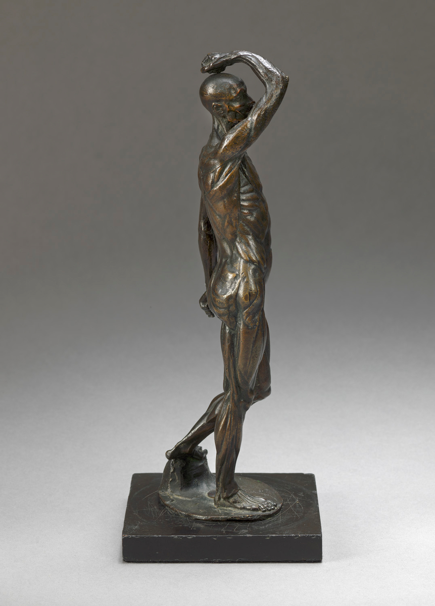 Ecorché Figure | Art UK