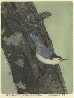 White-breasted Nuthatch | Art UK