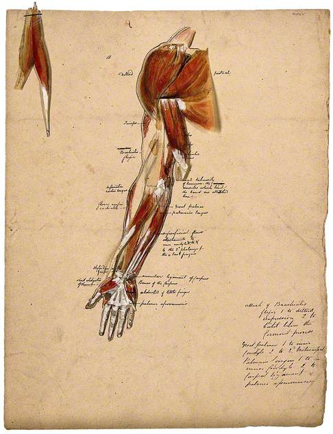 Hand On Shoulder Front View