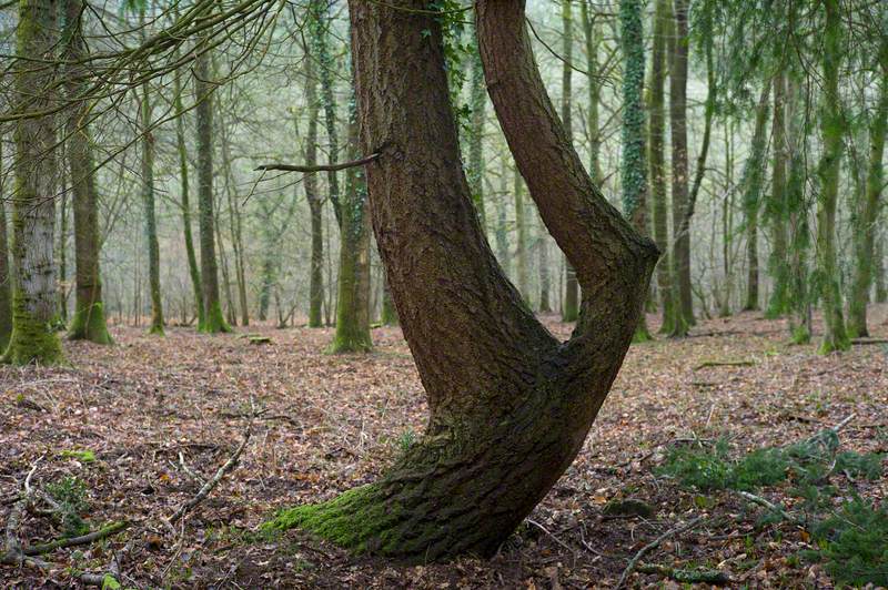 Meecham, Charlie, b.1950 | Art UK