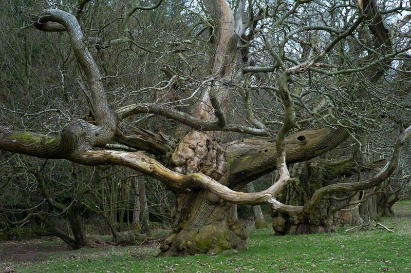 Meecham, Charlie, b.1950 | Art UK