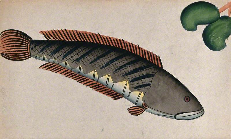 Be inspired by wildlife | Art UK