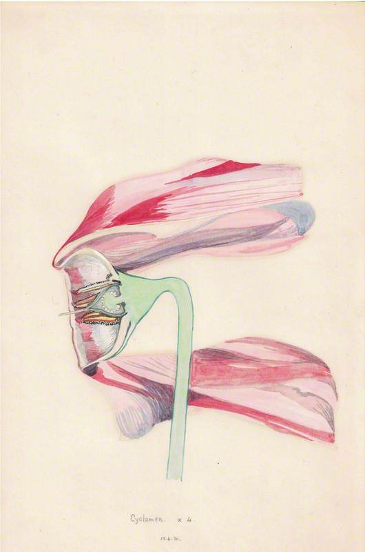 Smith, Edith Philip, 1897–1976 | Art UK