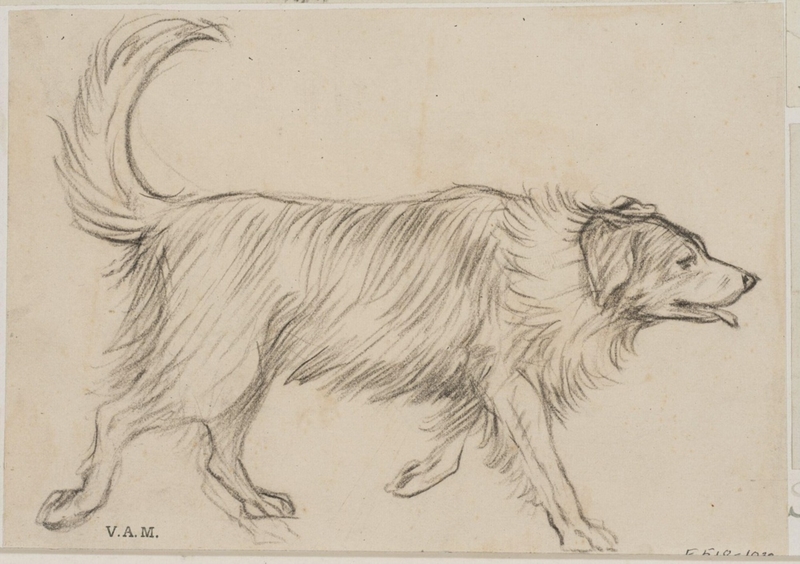 Animals drawn from memory | Art UK