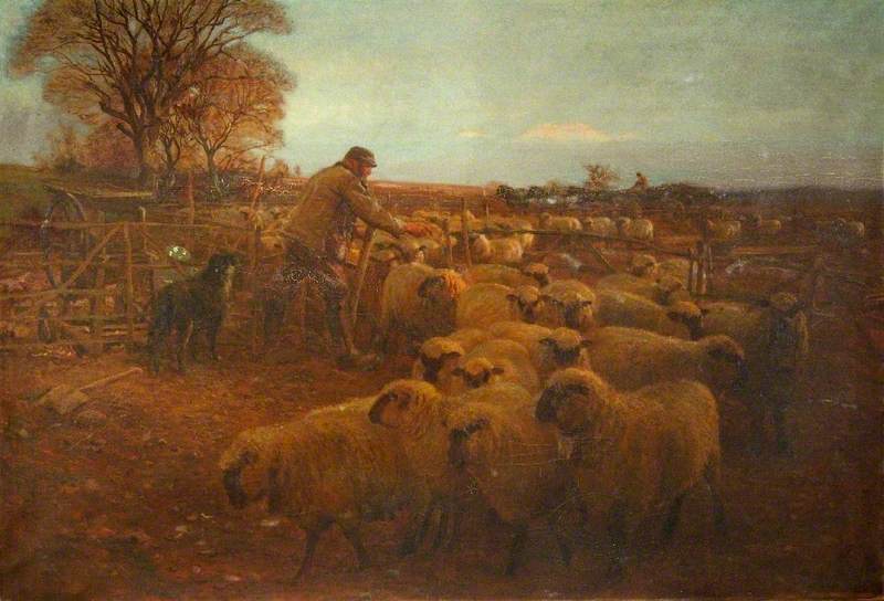 Sheep | Art UK