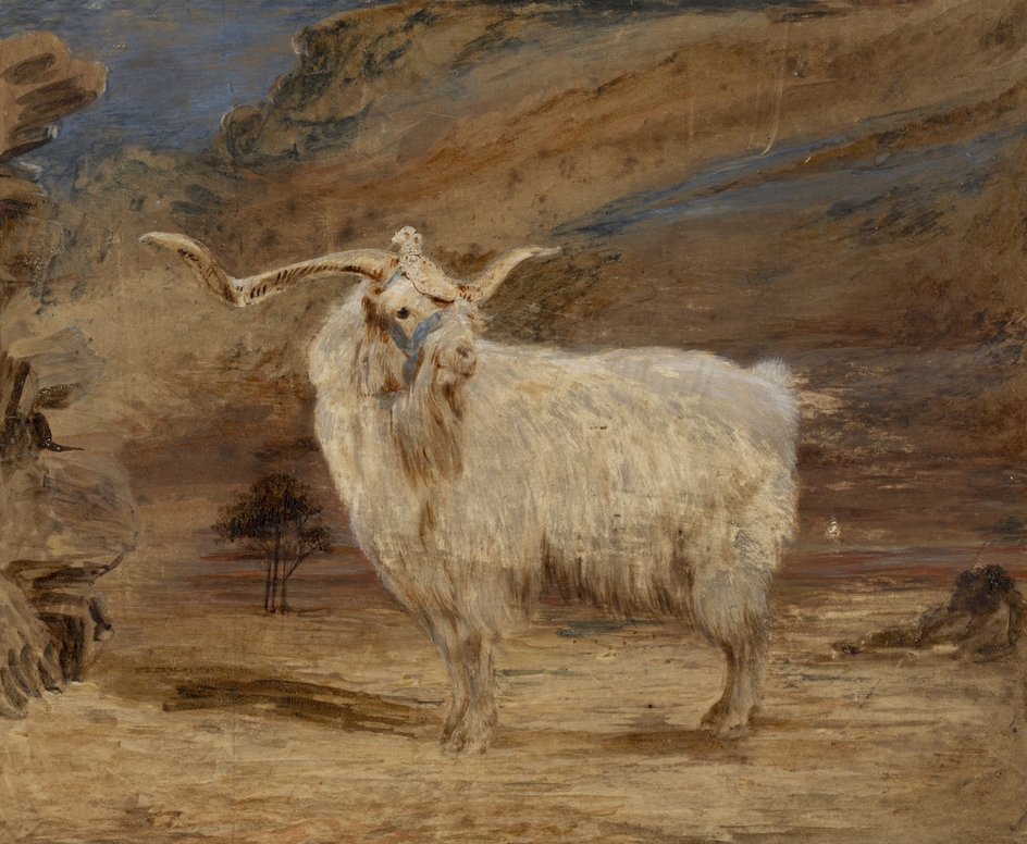 Regimental Goat | Art UK