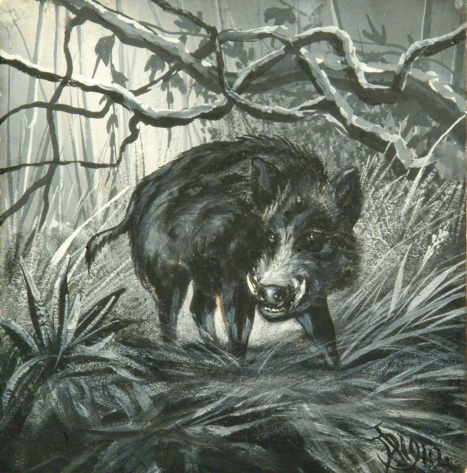 Boar | Art UK
